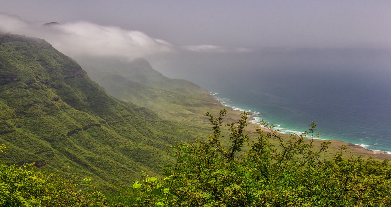 Best Salalah Tour Packages & Khareef 2025 | Intend Travel